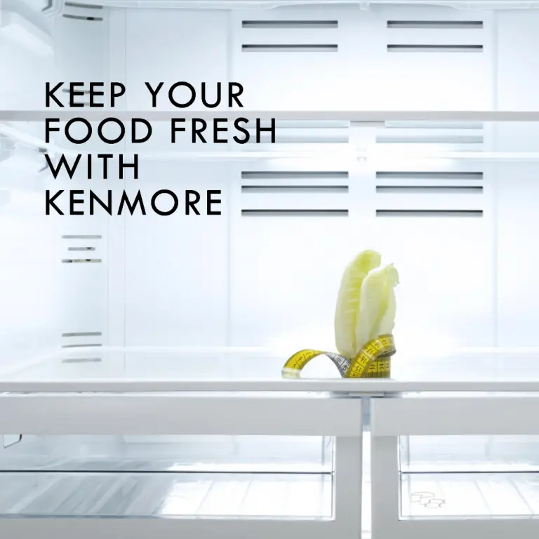 6 Impressive Ways To Find Kenmore Refrigerator Size By Model Number ...